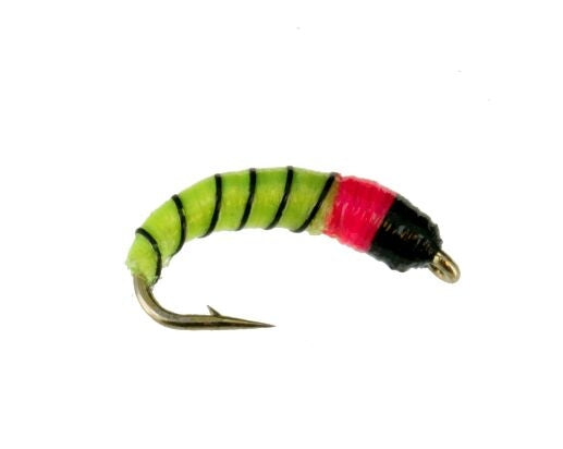 Grub, Chartreuse